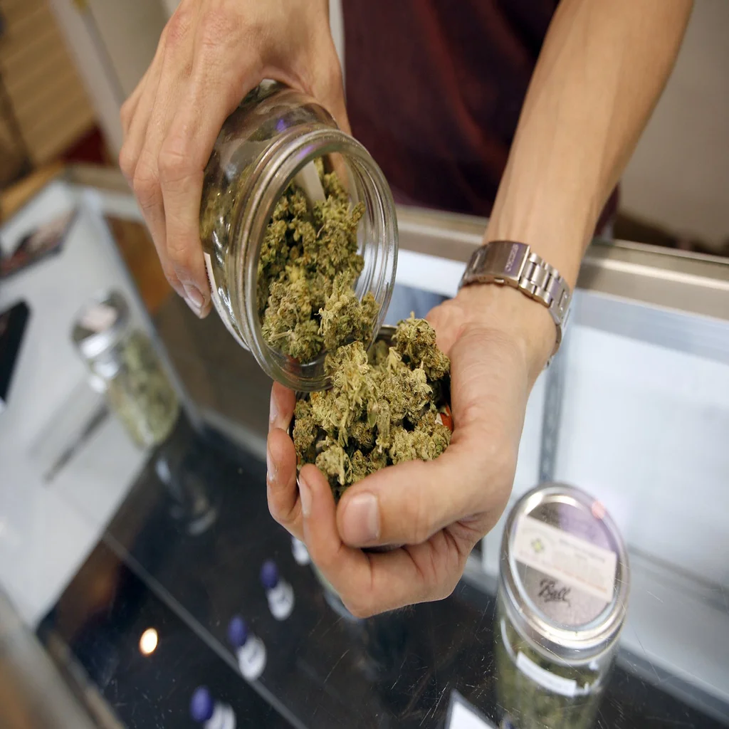 2015 Was the Year Venture Capitalists Discovered Marijuana