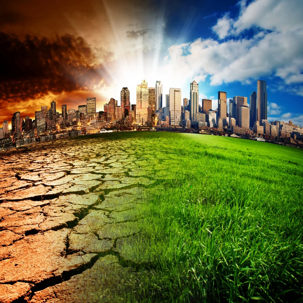 5 Things You Can Do to Ease Global Warming (Besides Turning Off the Lights)