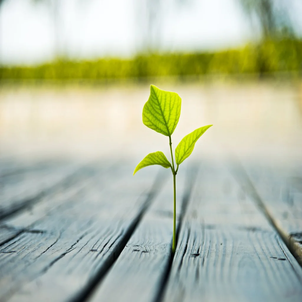Turning Problems Into Profit In Six Simple Steps