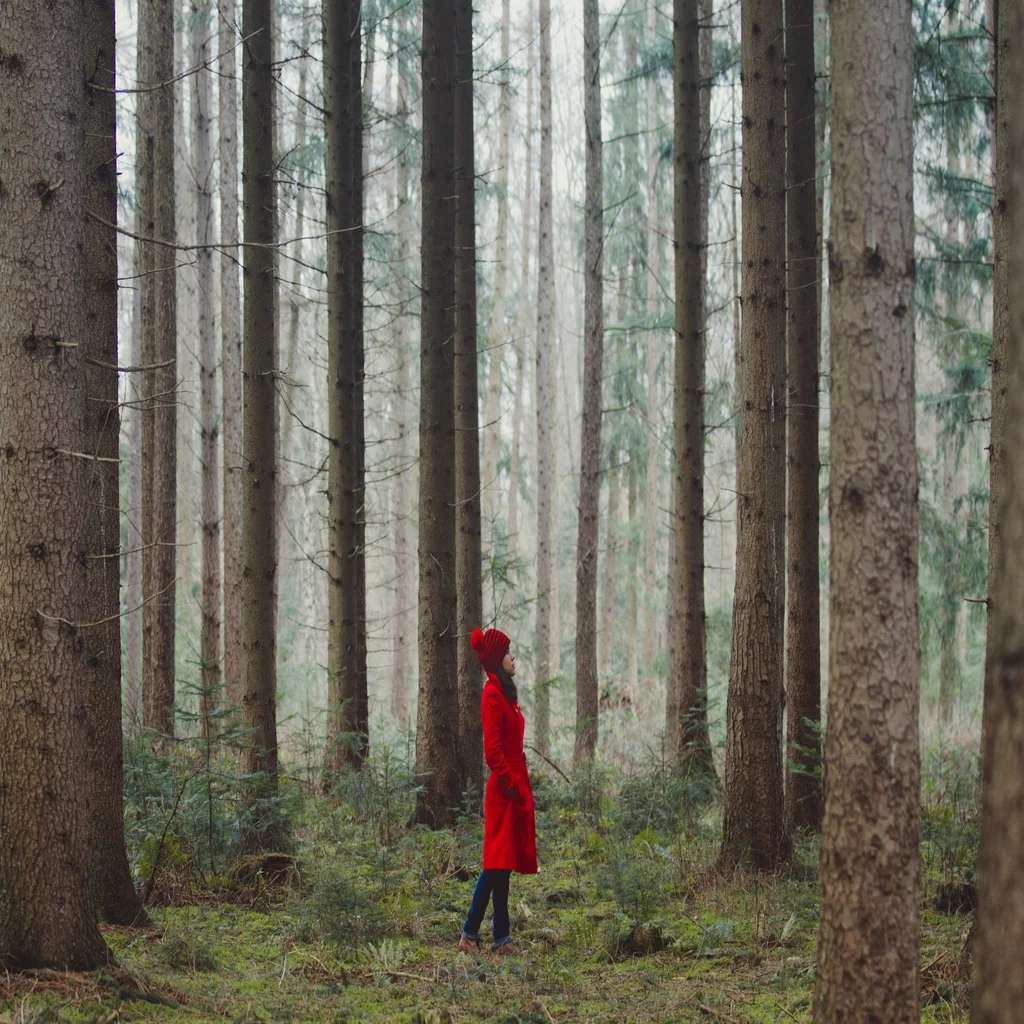 Here Are 5 Low-Cost Ways to Find Inspiration (It's Easier Than You Think)