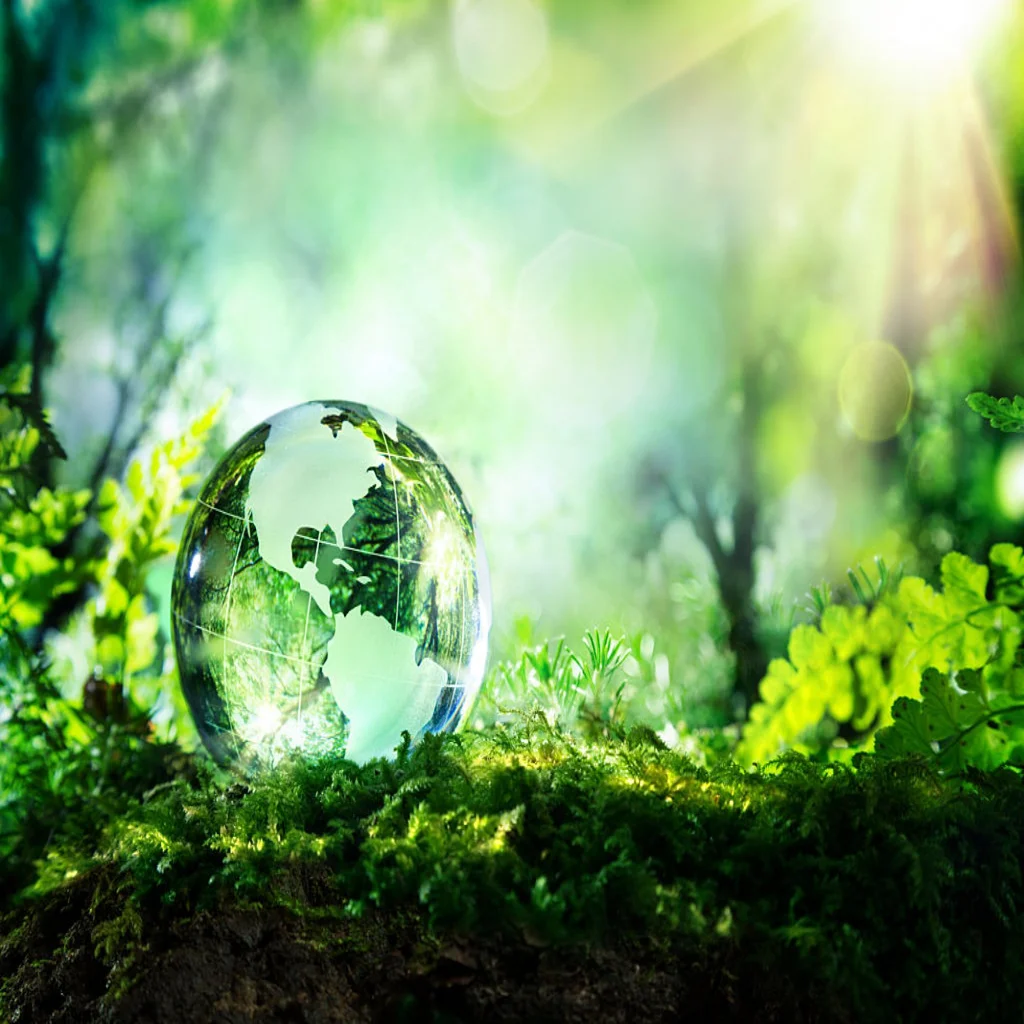 With Empathy and Compassion, Your Company Can Help Save the Earth