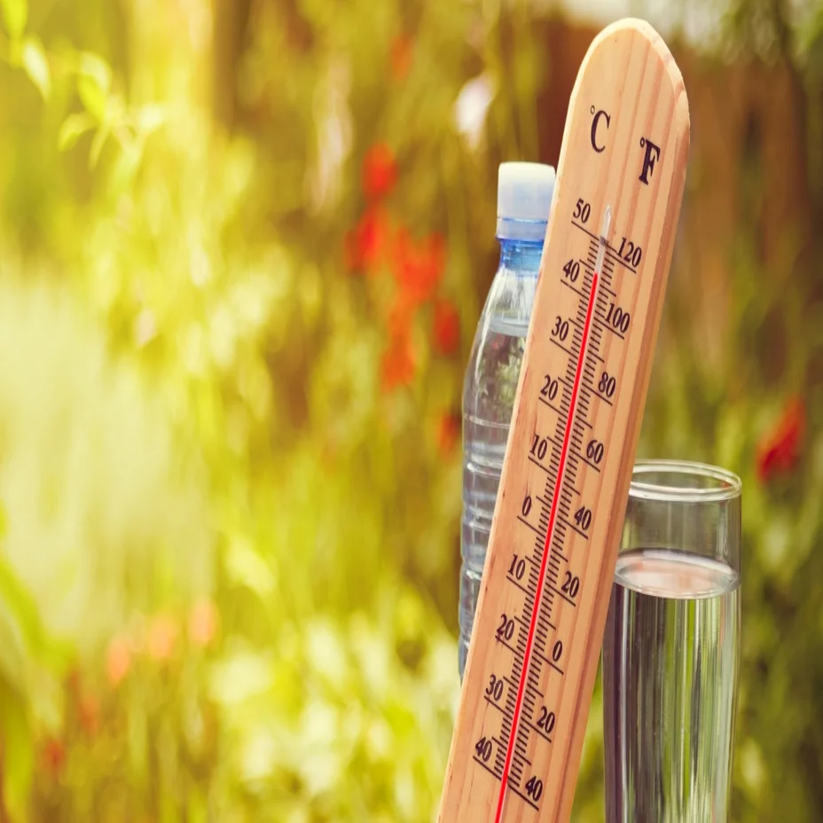Here's Why Hot Weather Makes You Cranky, According to Science