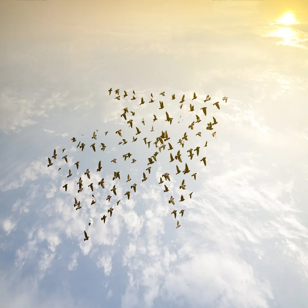 The Fundamental Differences Between Leadership and Management