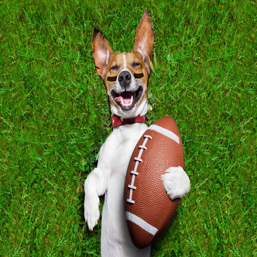 17 Underdog Quotes for the Super Bowl That Might Help the Eagles and ...