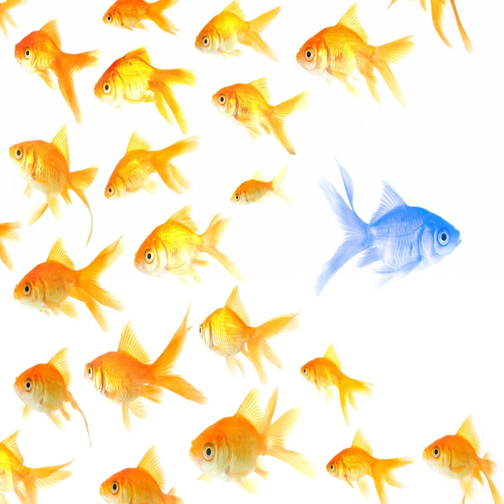9 Ways to Be Indispensable That Never Appear on Performance Appraisals