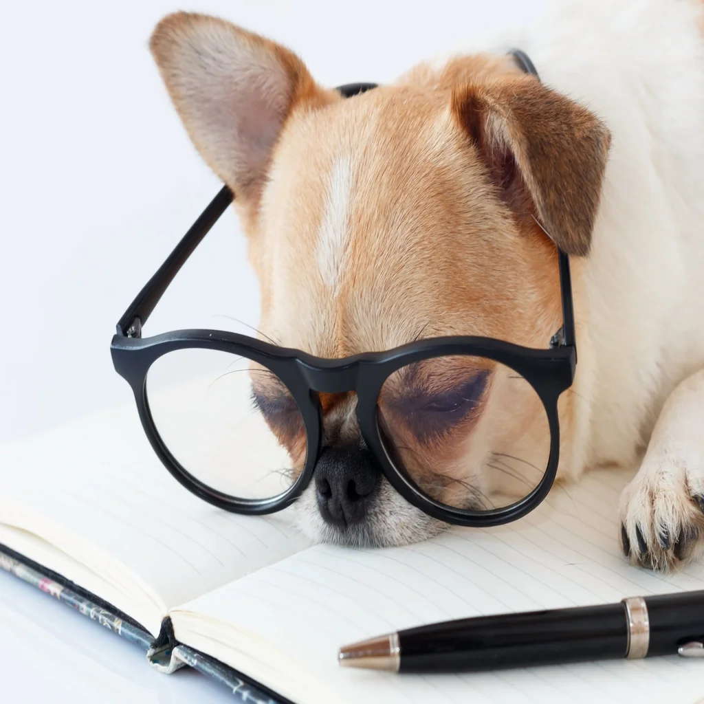 What to Do When Your Co-worker Is Snoring