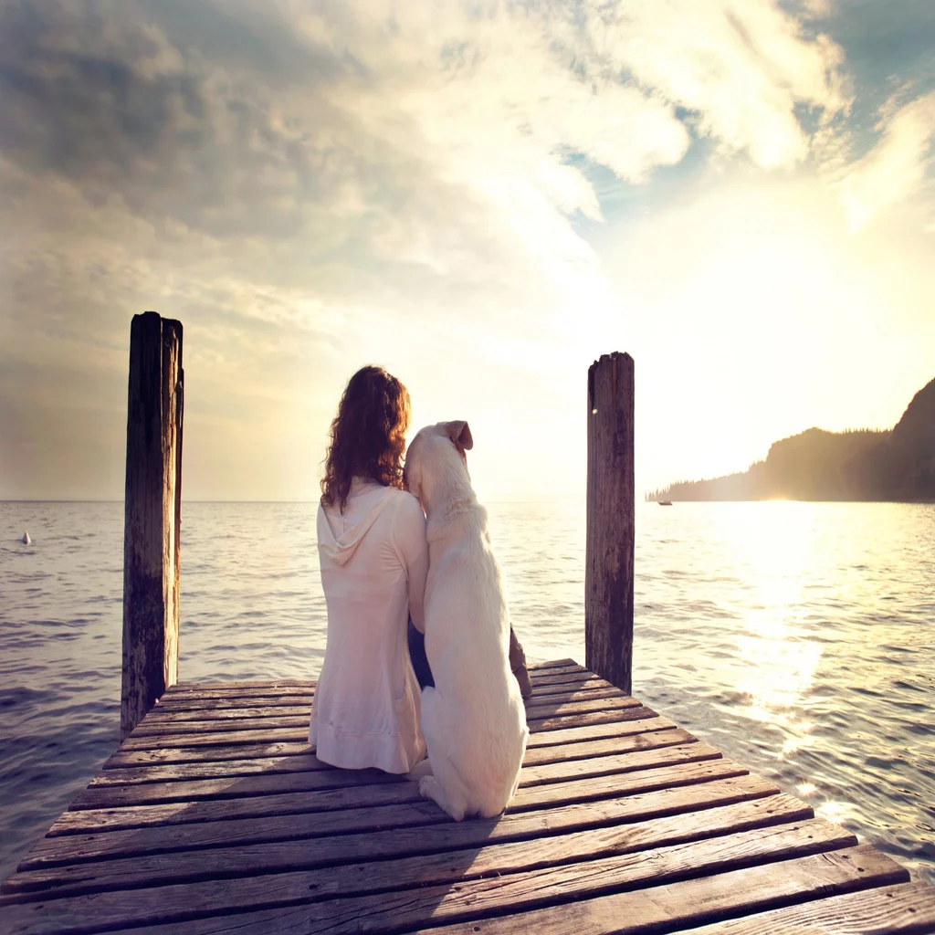 6 Things You Need To Recover From Every Day