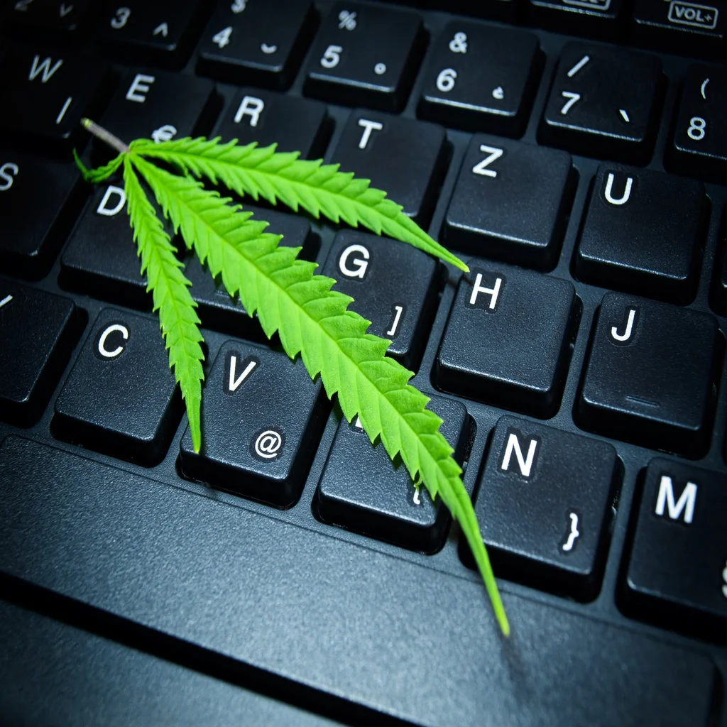 Cannabis Is Going to Impact Every Workplace Across the Country. How ...
