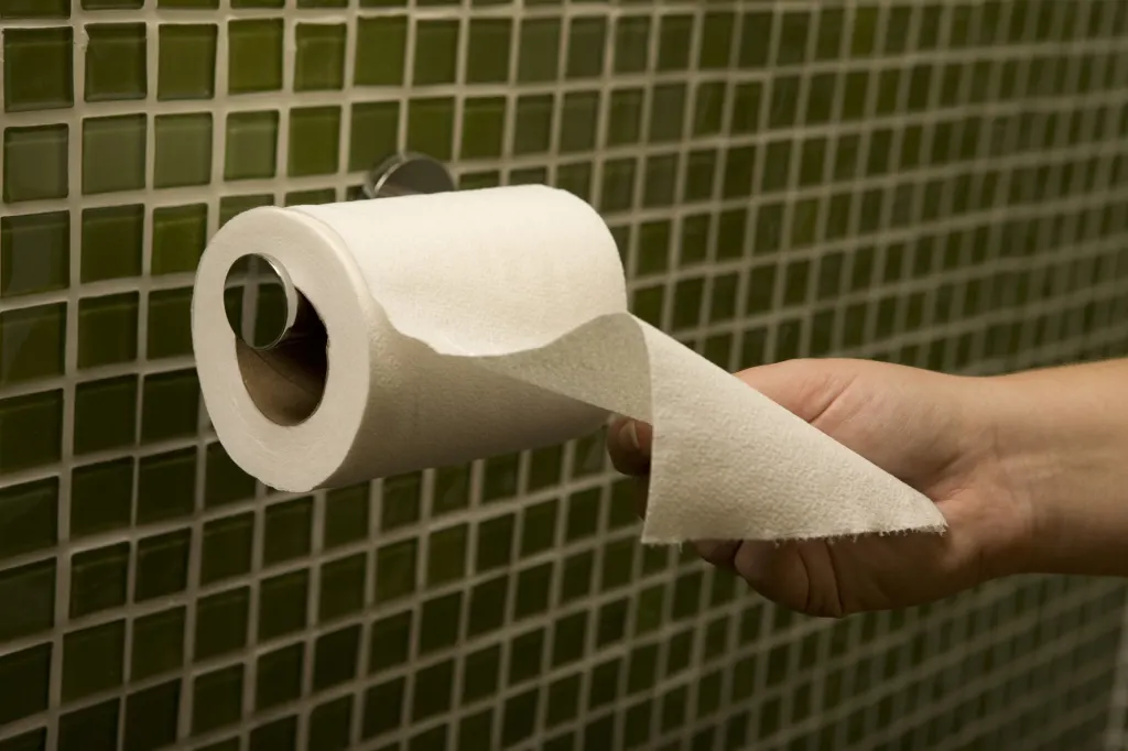 The Correct Way to Hang Toilet Paper, According to Science