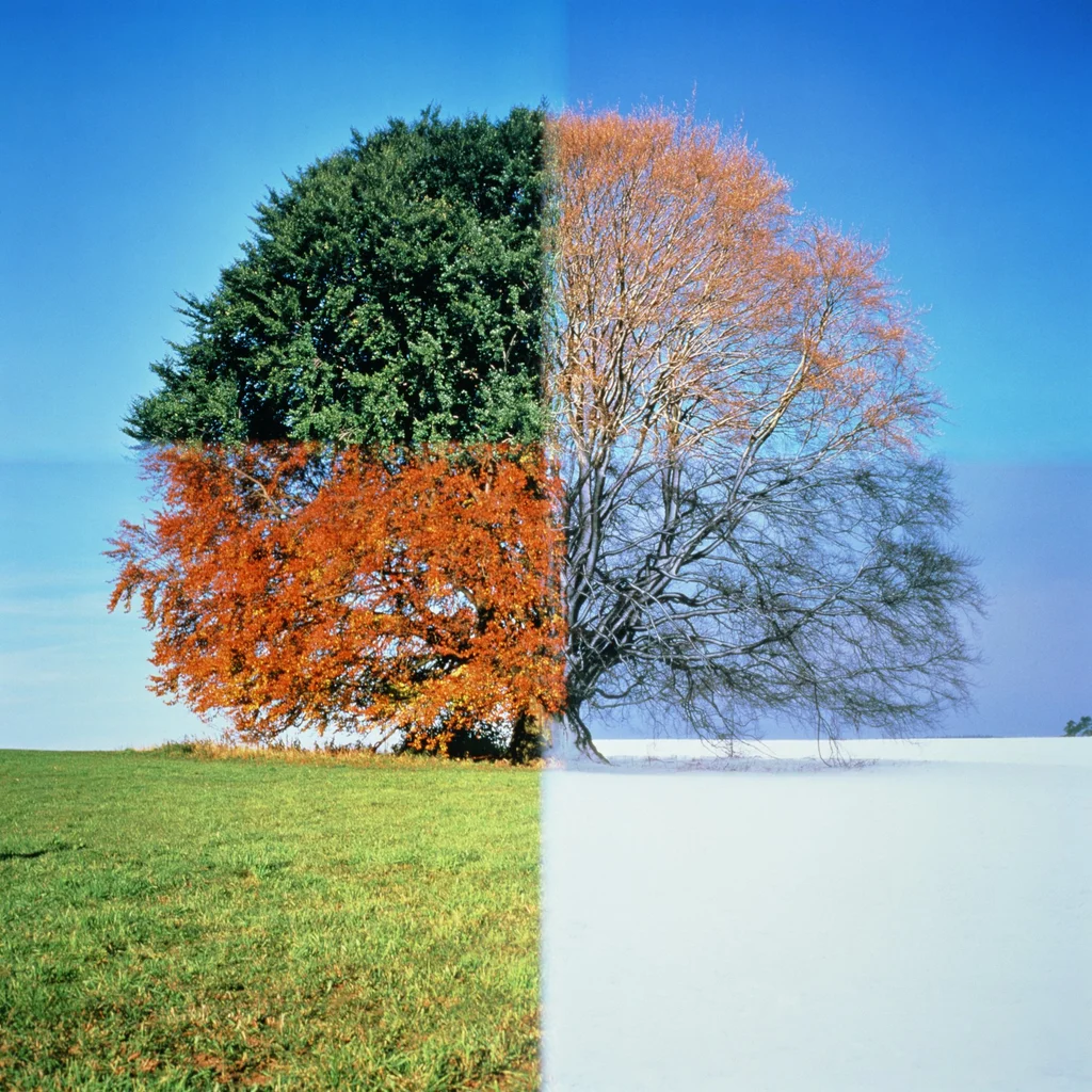 6 Marketing Tips for Seasonal Businesses (Before, During, and After ...
