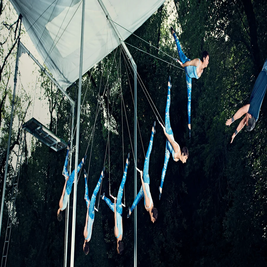 To Calm Her Nerves, This Founder Takes to the Trapeze