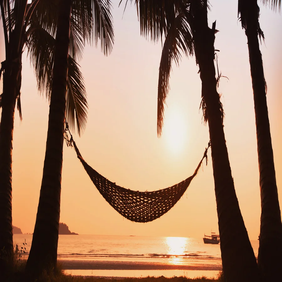 Want to Live Longer? Science Says Taking a Vacation Could Literally ...