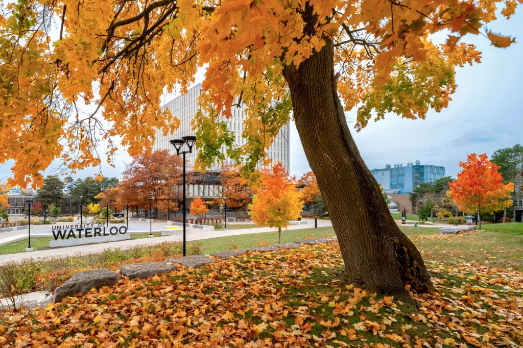 Ignition Schools: Top 50 Institutions Revolutionizing Entrepreneurship