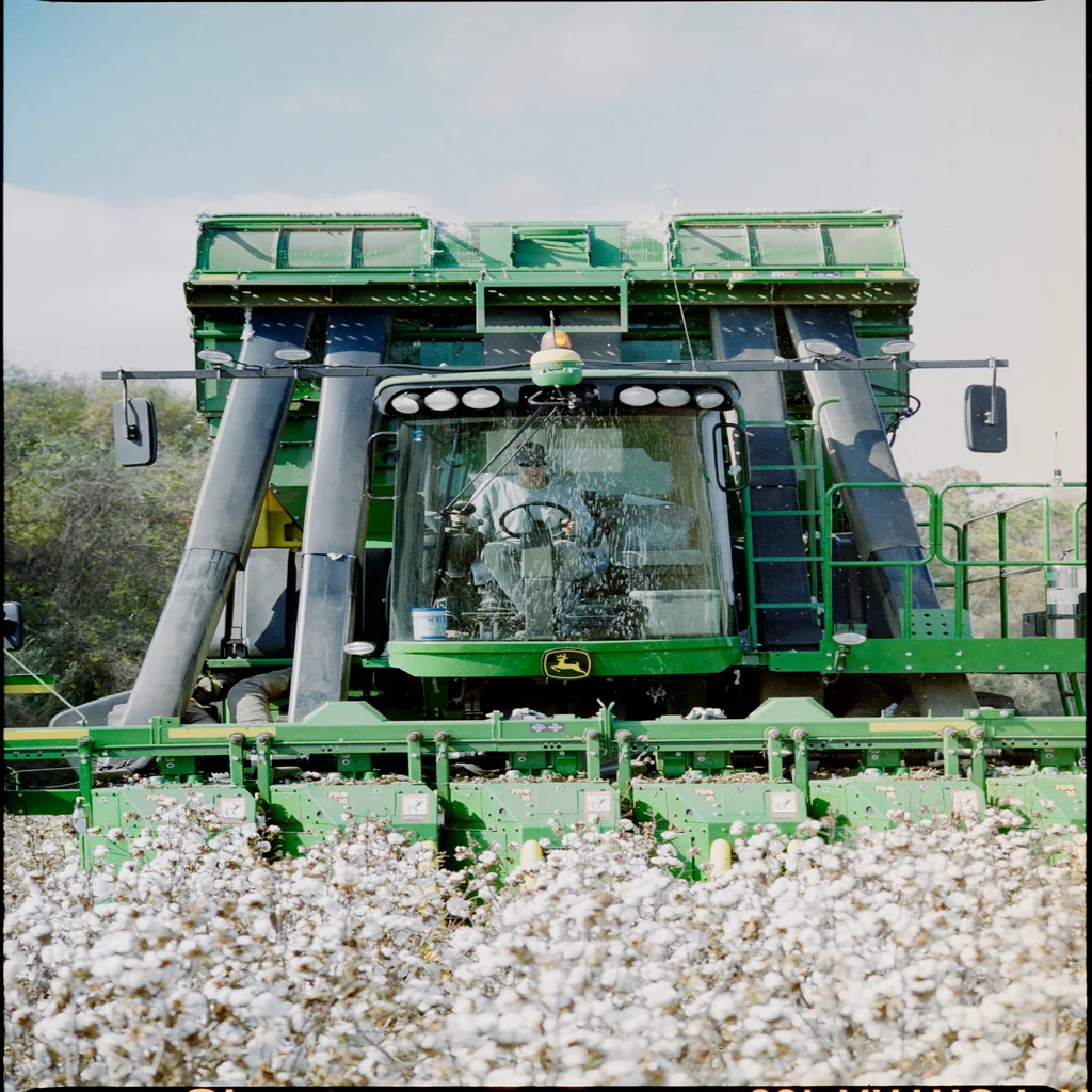 A T-Shirt Was Grown, Spun, Knit, and Made Entirely in America. It Took ...
