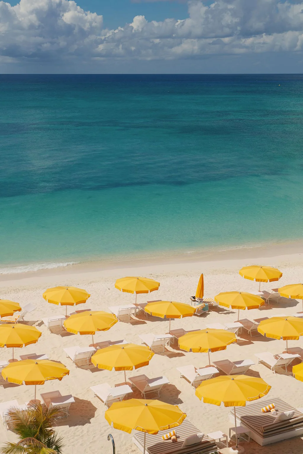 How Palm Heights Became Every Founder’s Travel Obsession