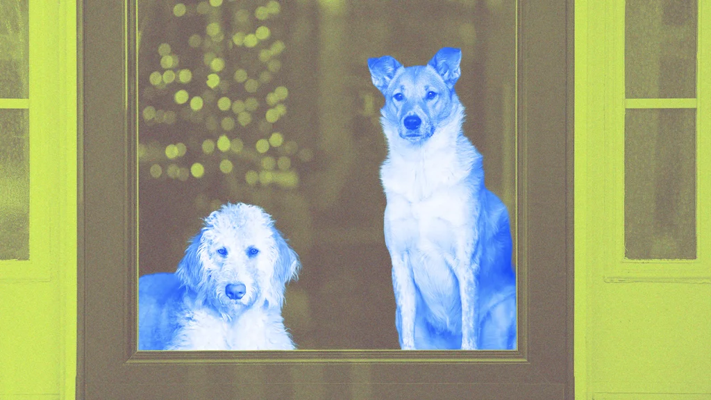 This Startup Wants to Solve a Disastrous Problem for Pet Owners