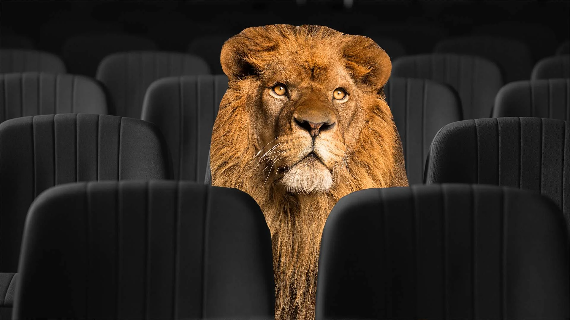 Use This Comedian's Brilliant Lion Trick to Kill Stage Fright and ...