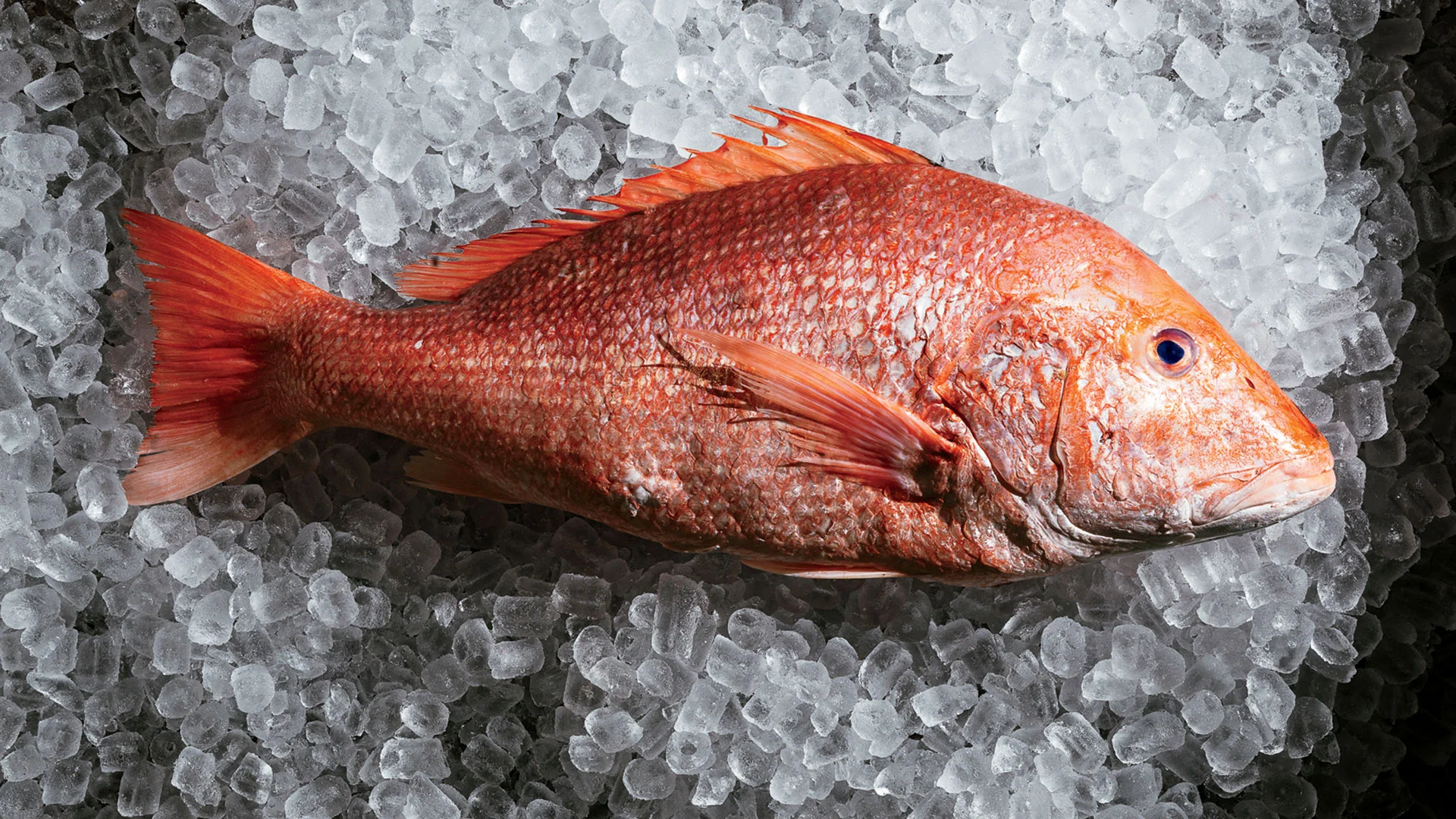 Caught! How a Mississippi Restaurant Became the Poster Child for a New ...
