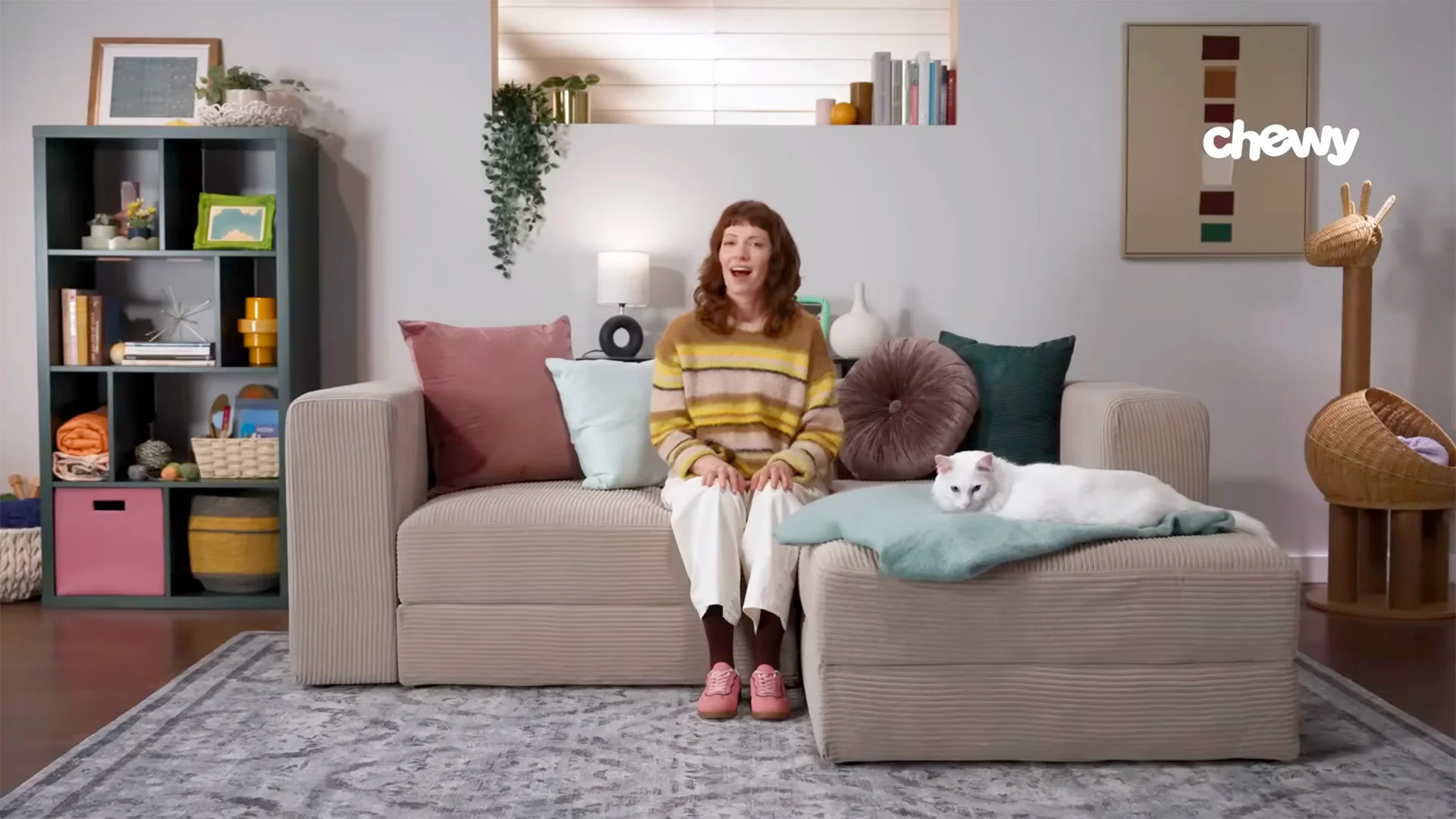 A Chewy Video Just Changed How I Treat My Cat. It's a Masterful Lesson ...