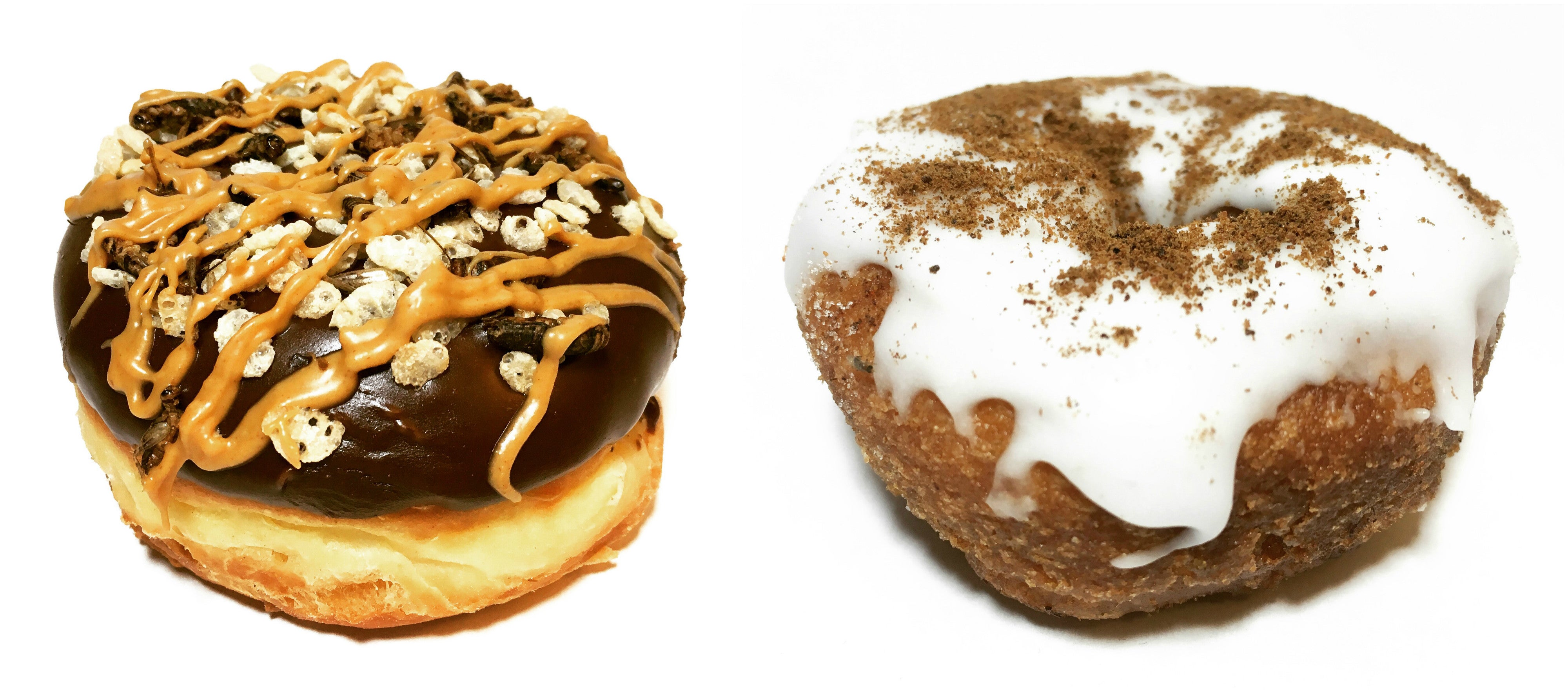Cricket Doughnuts Are Now a Thing in Portland (and They Look Delicious!)
