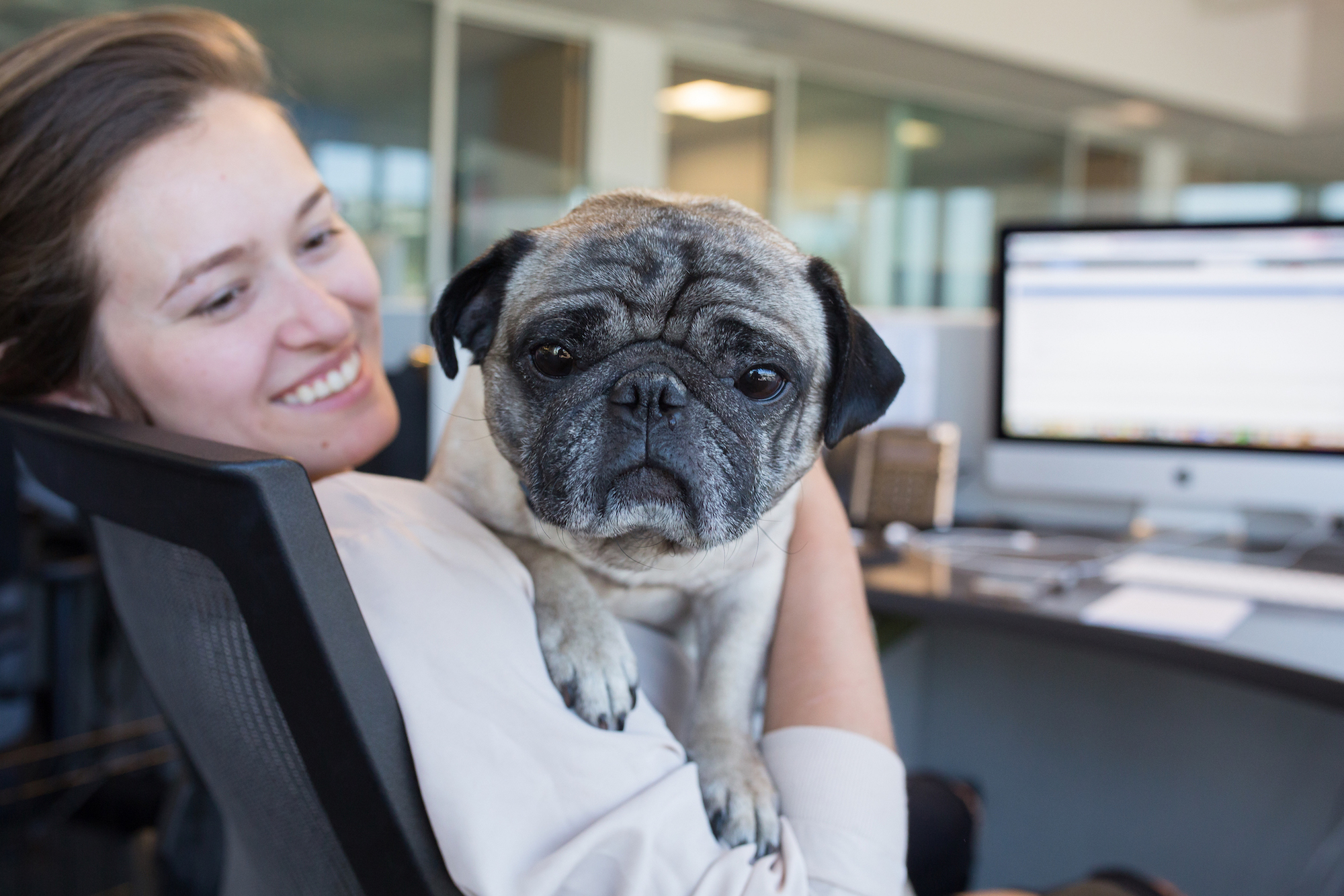 These Companies Provide Generous Benefits -- for Their Employees' Pets