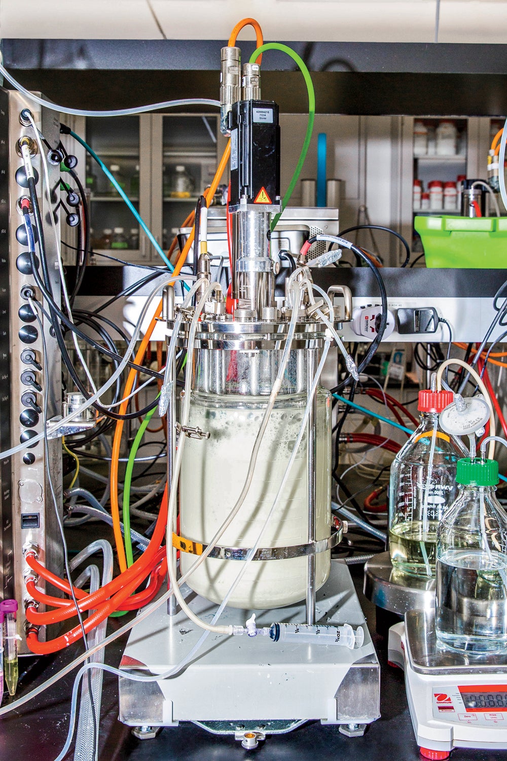 The Future of Leather Is Growing in a New Jersey Lab--No Animals Needed