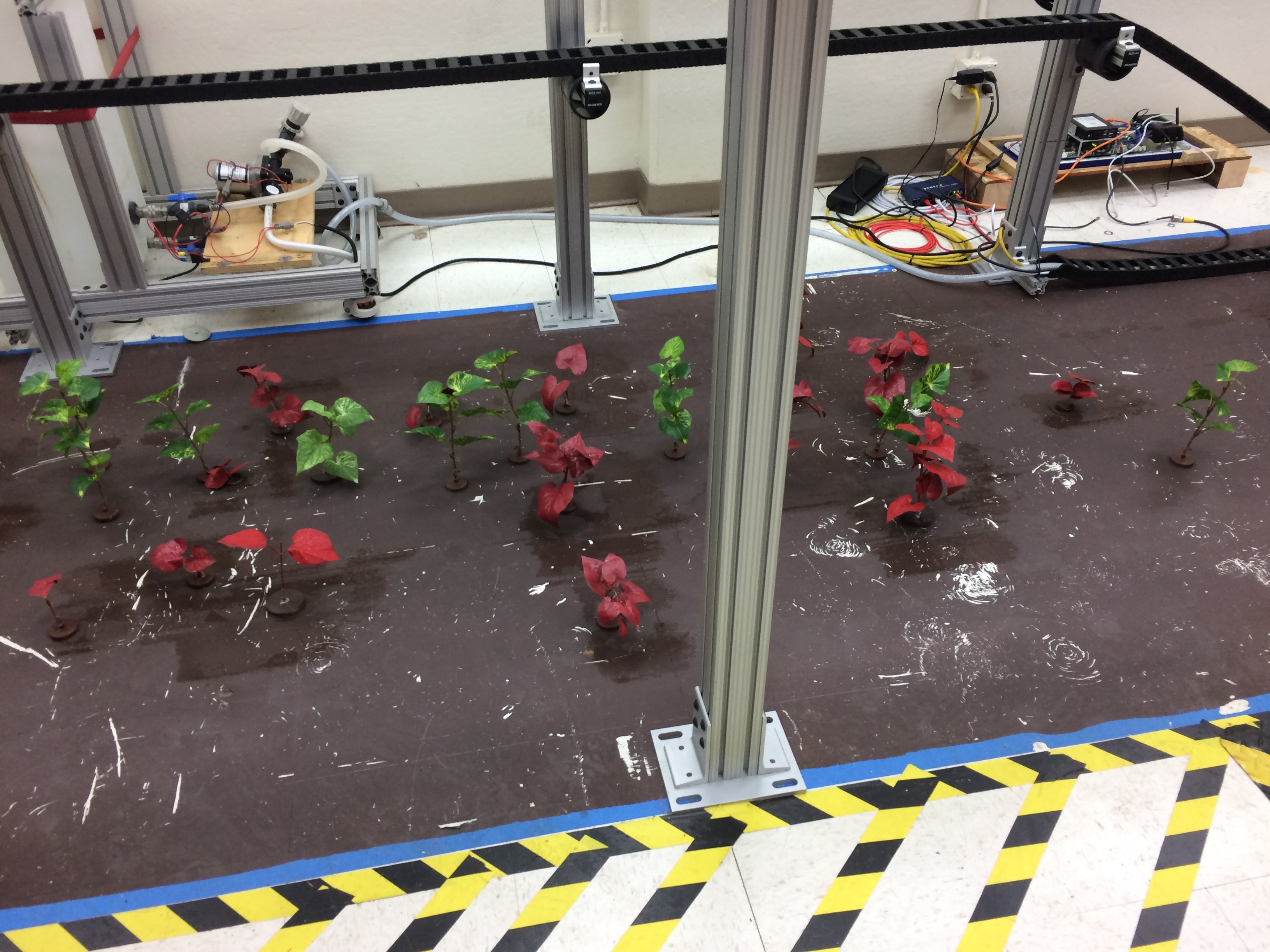 Lettuce-Weeding Robots, Coming Soon to a Farm Near You