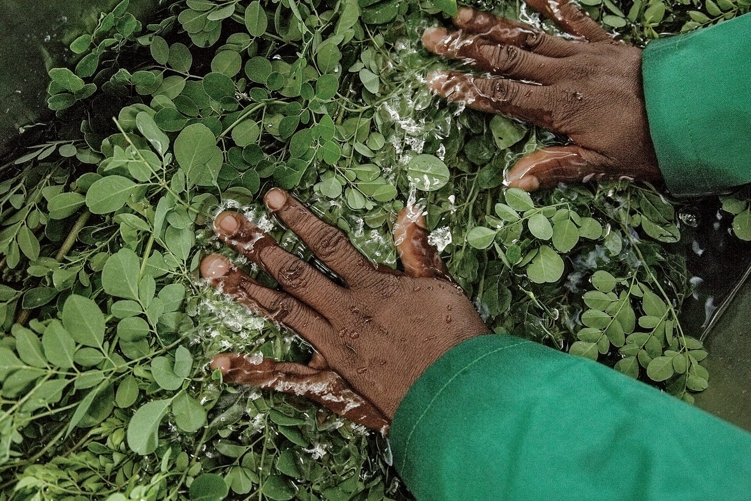 Meet the Woman Behind a $2 Million Superfood Business Helping Women ...
