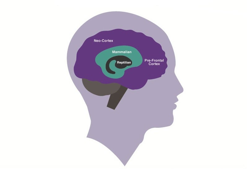 Hijack! How Your Brain Blocks Performance
