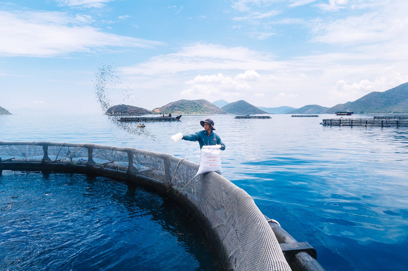 This Startup Is Selling Responsibly Sourced Frozen Fish--and Leonardo ...