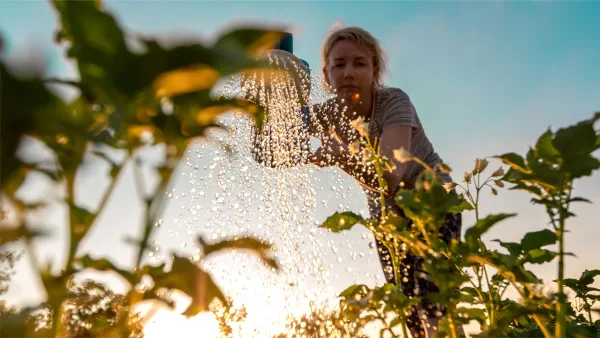 6 Ways to Grow the Seeds of Greatness Within You Into Your Full ...