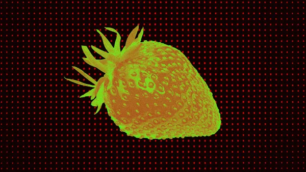 Meet 'Strawberry,' the First Step to AIs That Can Think | Inc.com