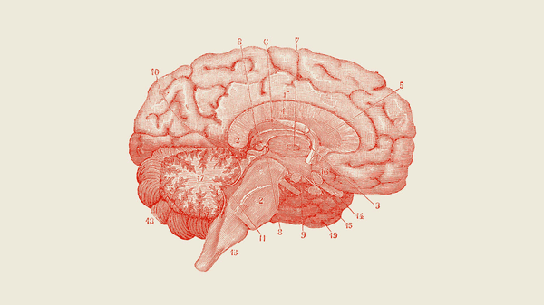 How to Hack Your Nervous System for Greater Success, According to a ...